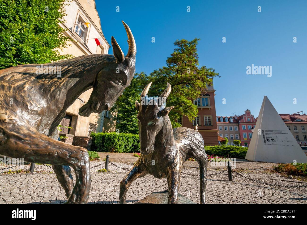 Poznan goats hi-res stock photography and images - Alamy