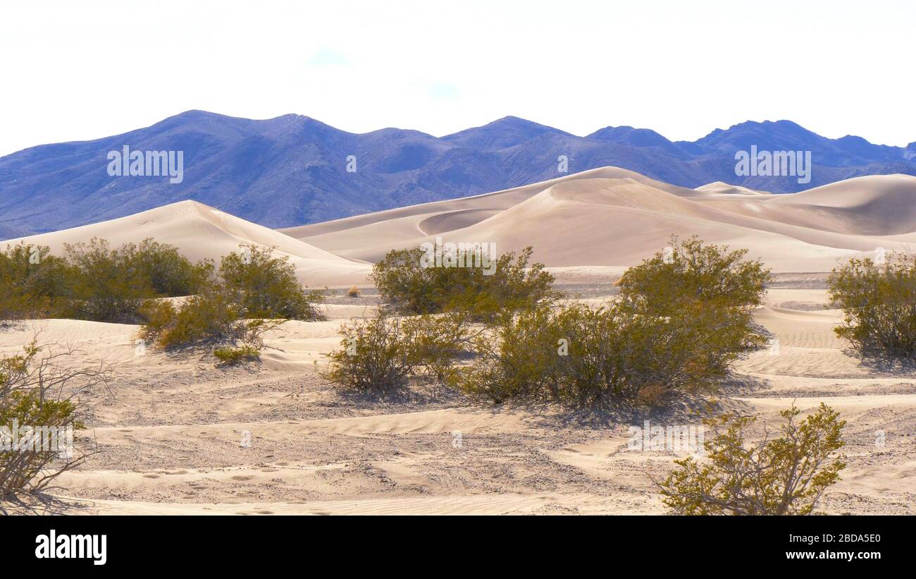 Big Sand Dunes in the desert of Nevada Stock Photo - Alamy