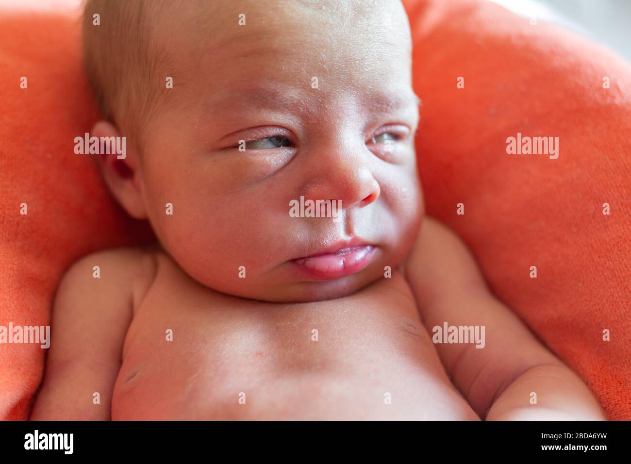 Stern face hi-res stock photography and images - Alamy
