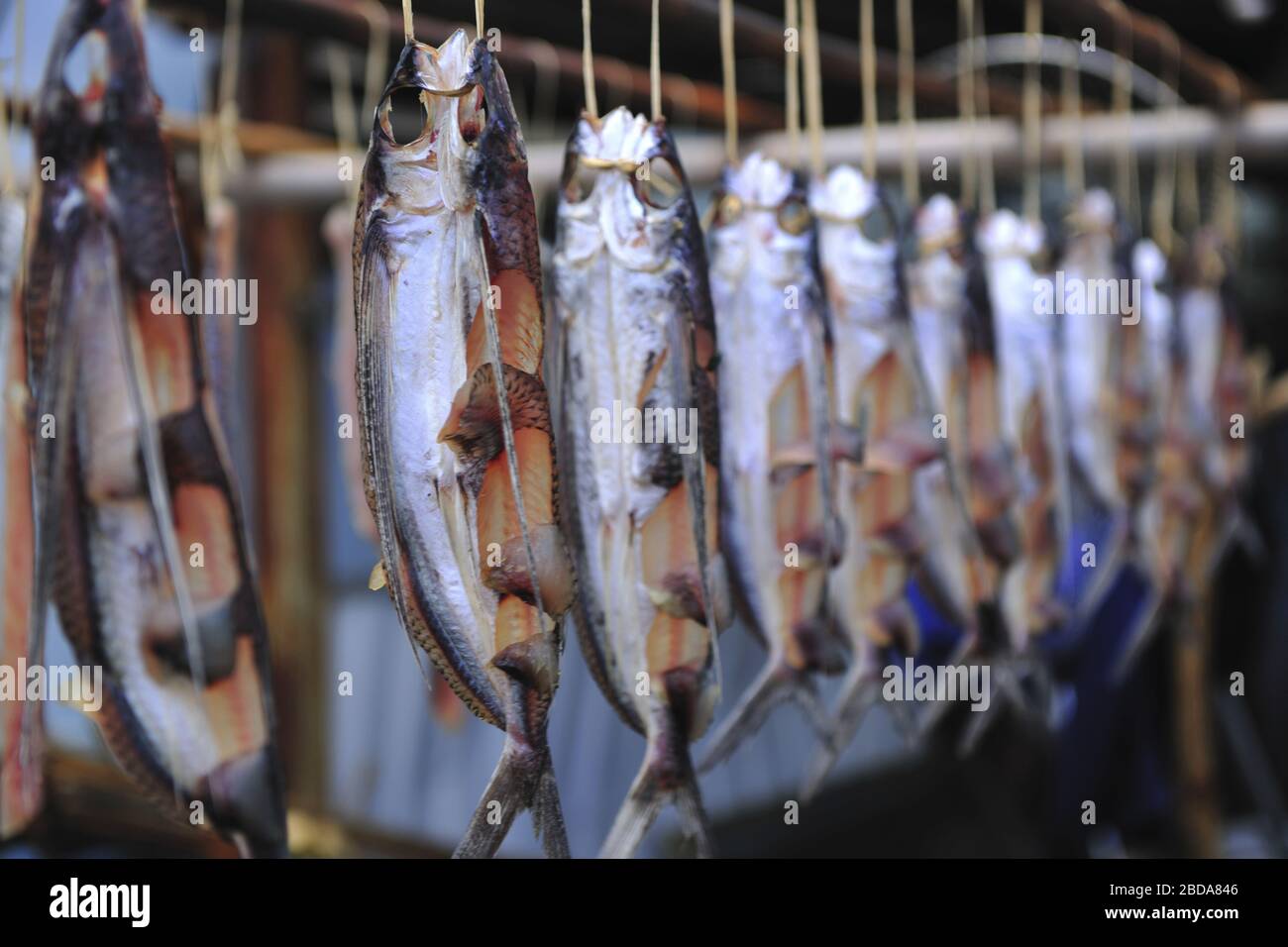 dried fish Taiwan Stock Photo - Alamy