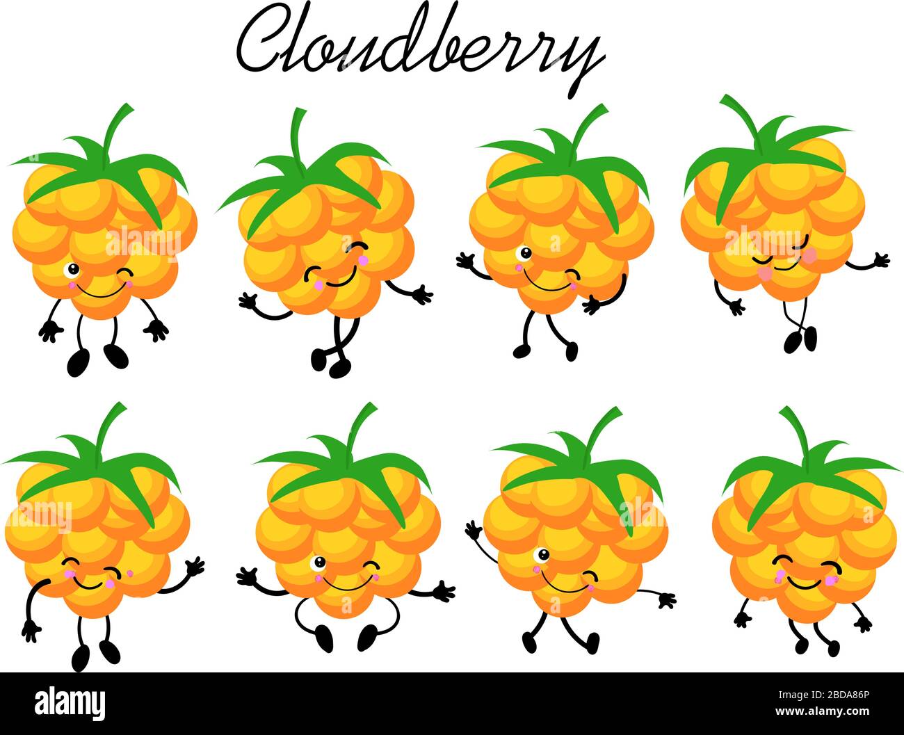 Cloudberry Logo