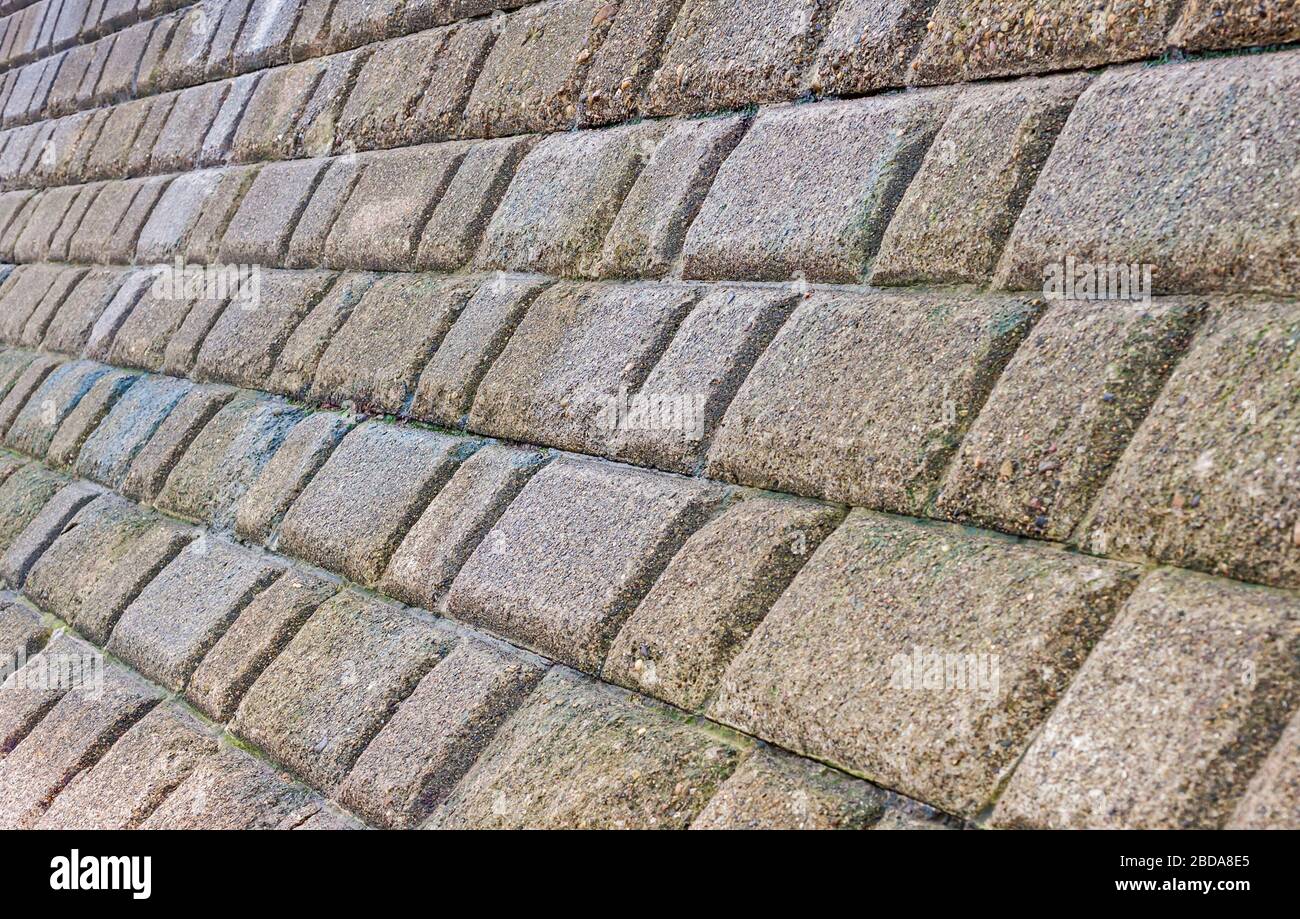 Closeup detail of sea wall defense structure covered in algae ...