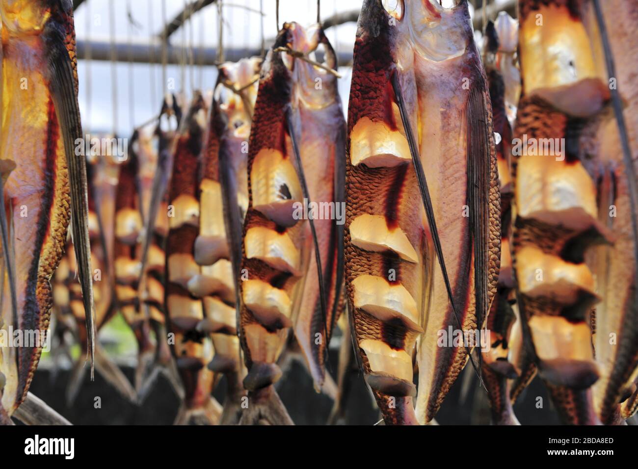 dried fish Taiwan Stock Photo - Alamy