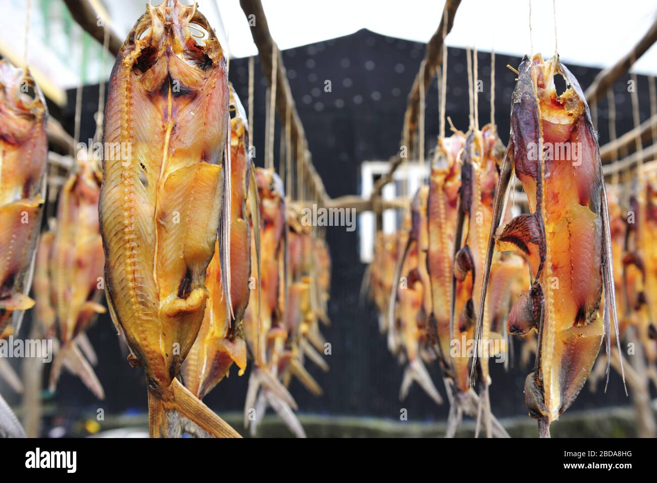dried fish Taiwan Stock Photo - Alamy