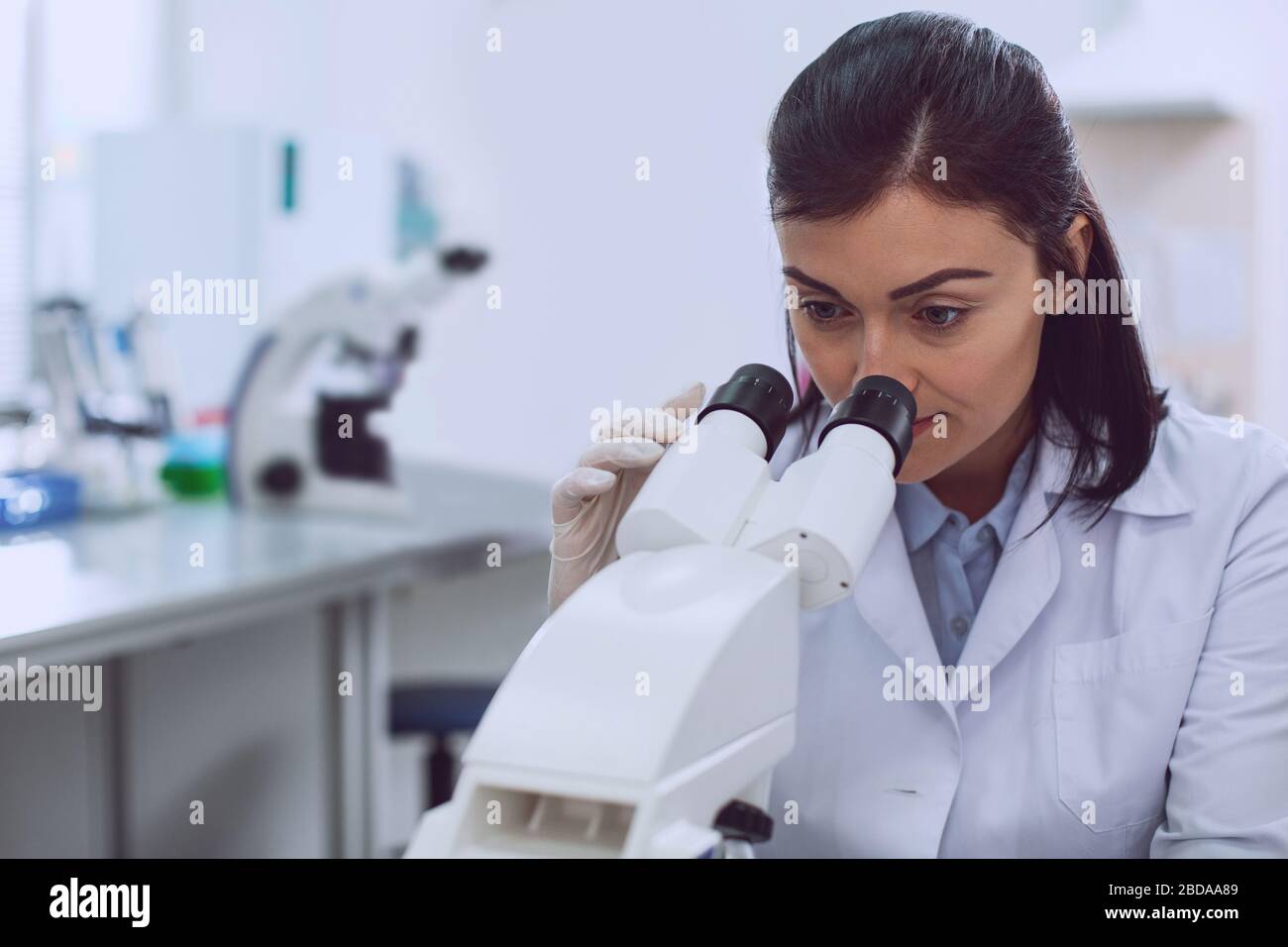 Concentrated female researcher looking into the microscope Stock Photo - Alamy