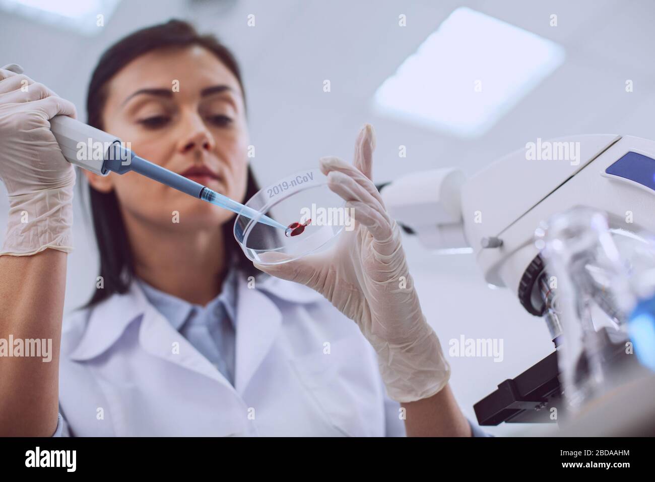Serious female researcher doing a blood test Stock Photo - Alamy