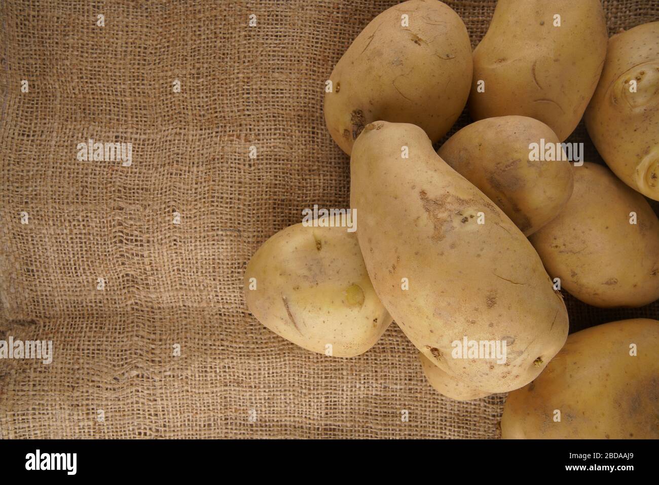 Patato crop hi-res stock photography and images - Alamy