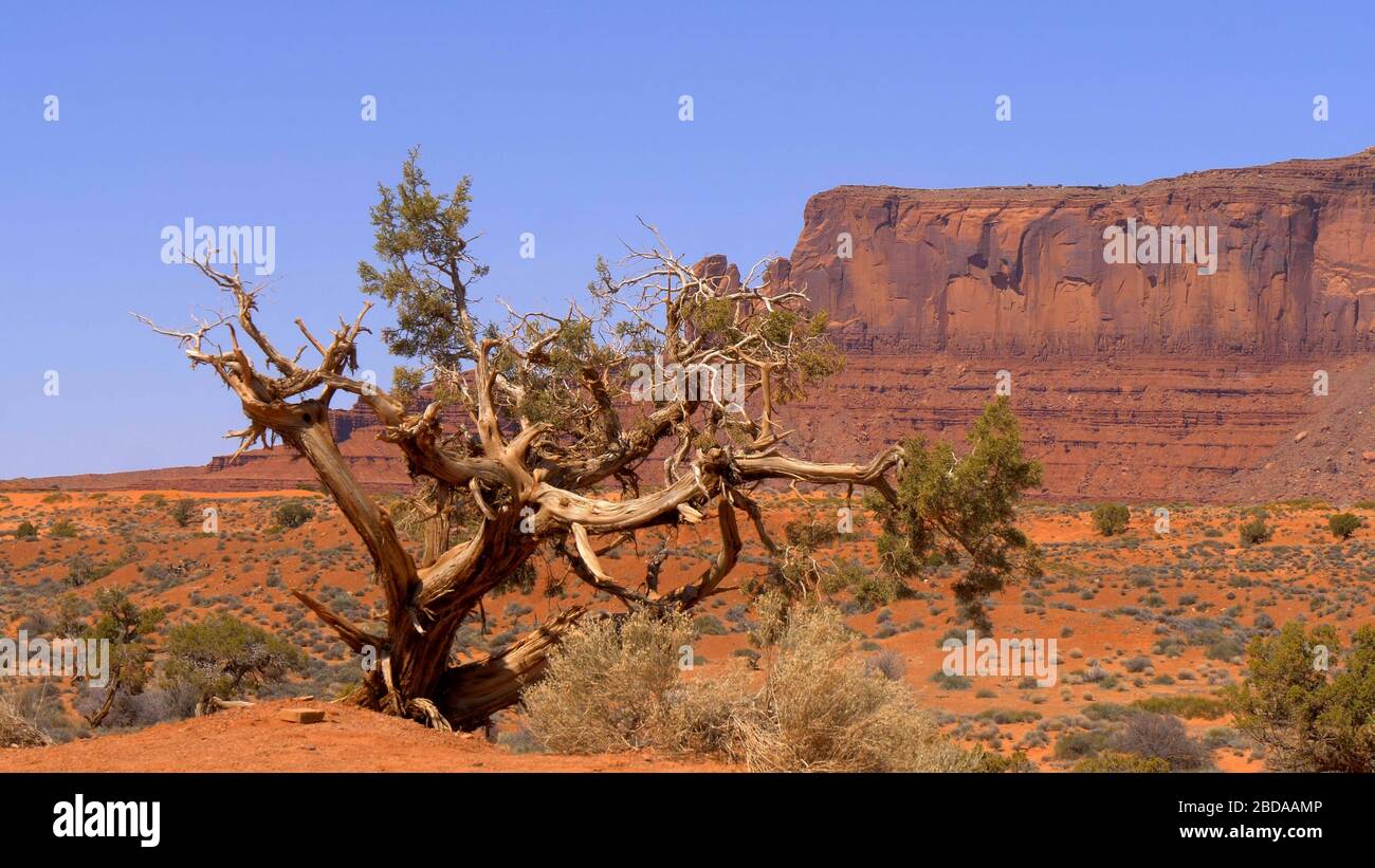 Monument Valley in Utah Oljato Stock Photo - Alamy
