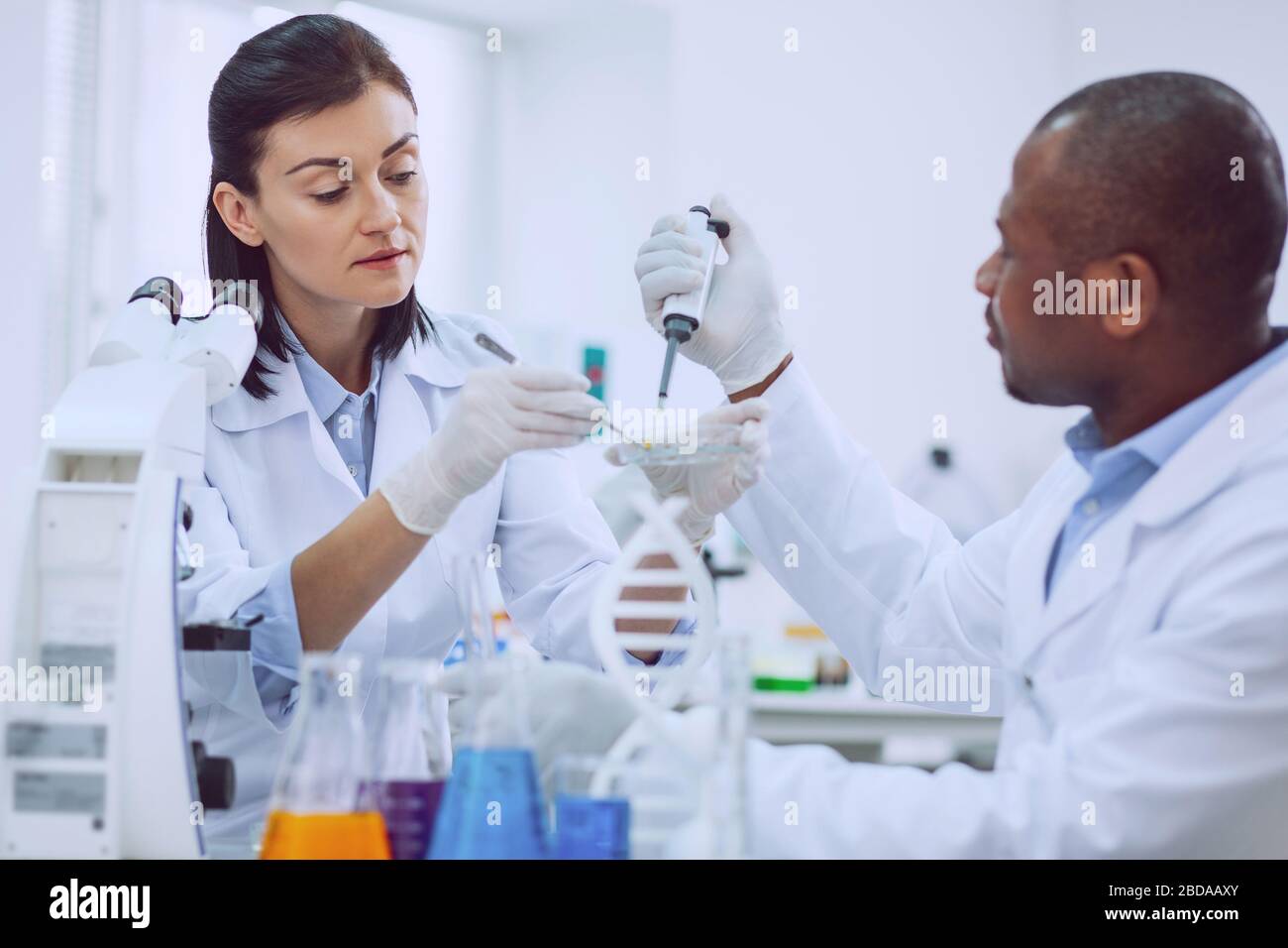 Experienced serious scientists focusing on their research Stock Photo ...