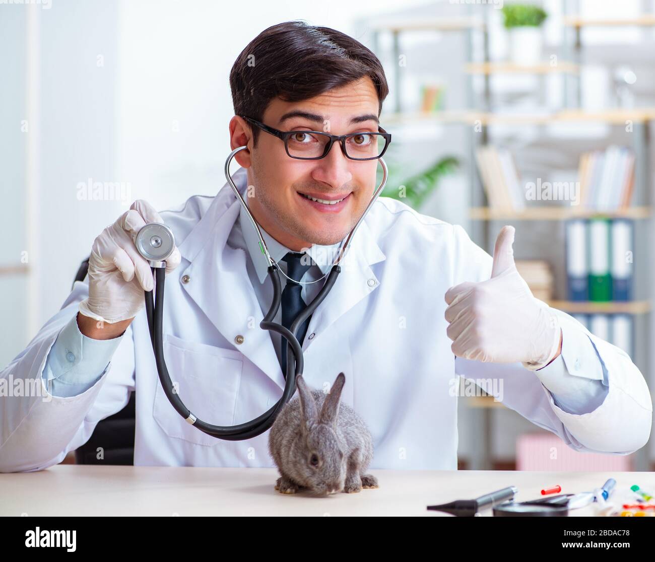 The vet doctor checking up rabbit in his clinic Stock Photo - Alamy