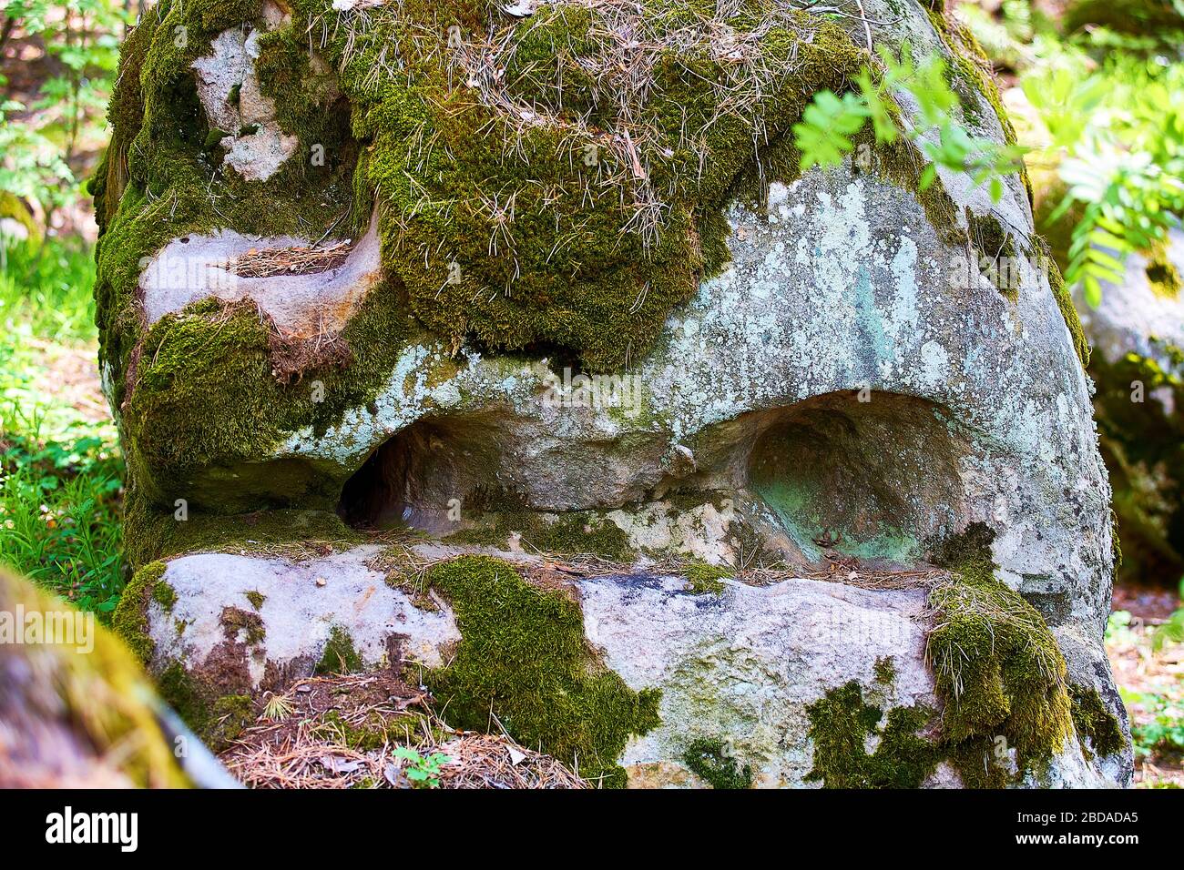 Stone provincial park camping hi-res stock photography and images - Alamy