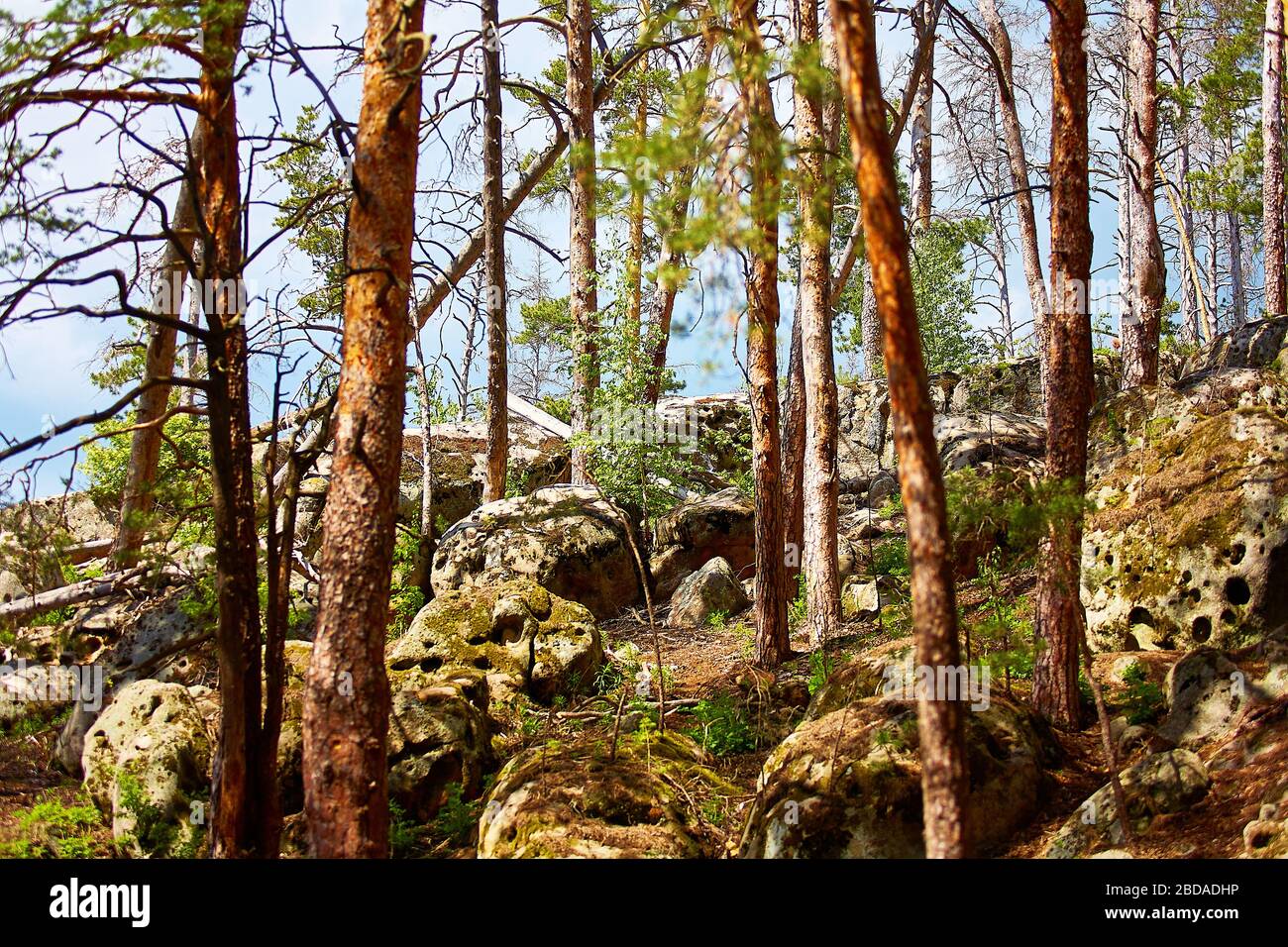 Canadian shield mountain hi-res stock photography and images - Alamy