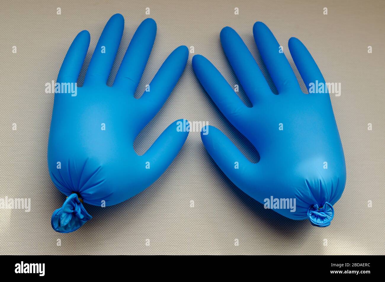 Inflated medical gloves on the table. A pair of blue gloves shows a ...