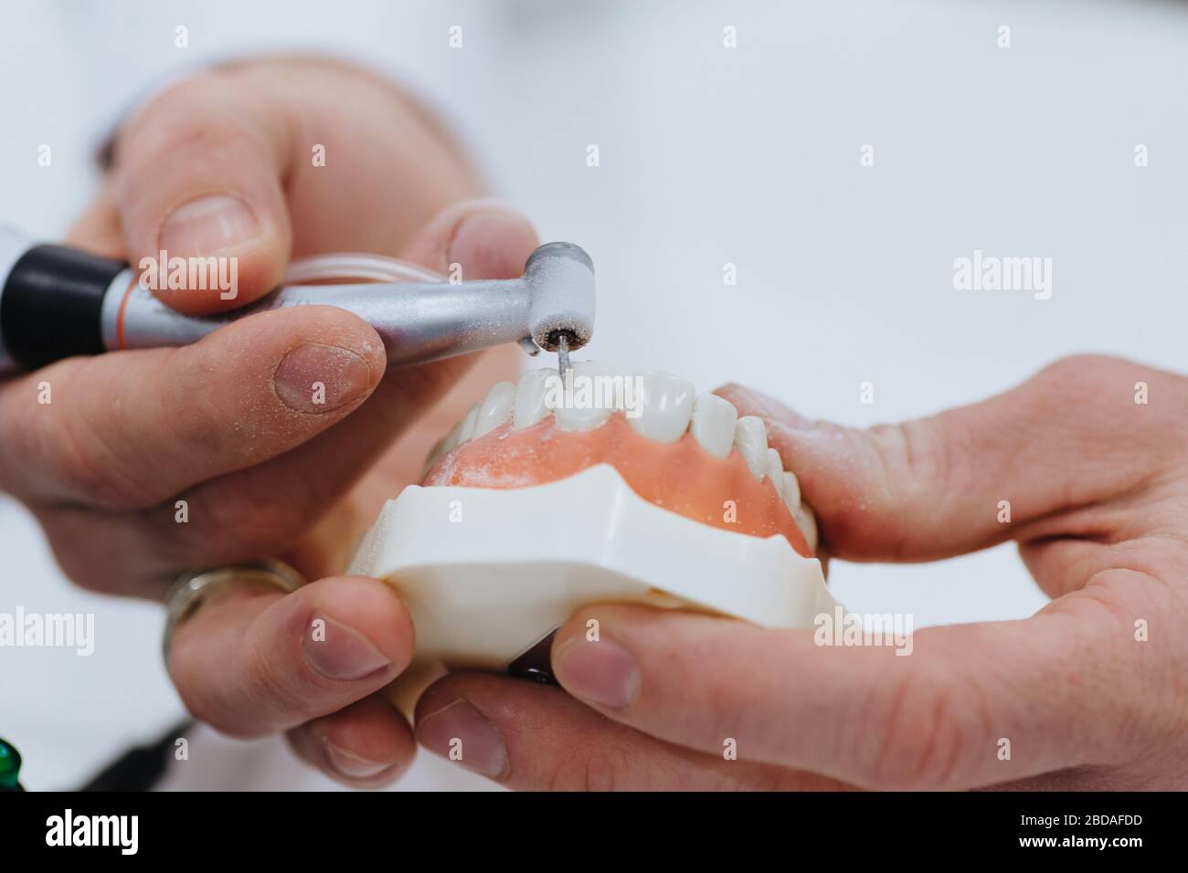 A dental technician processes a cast from the jaw of the patient Stock ...