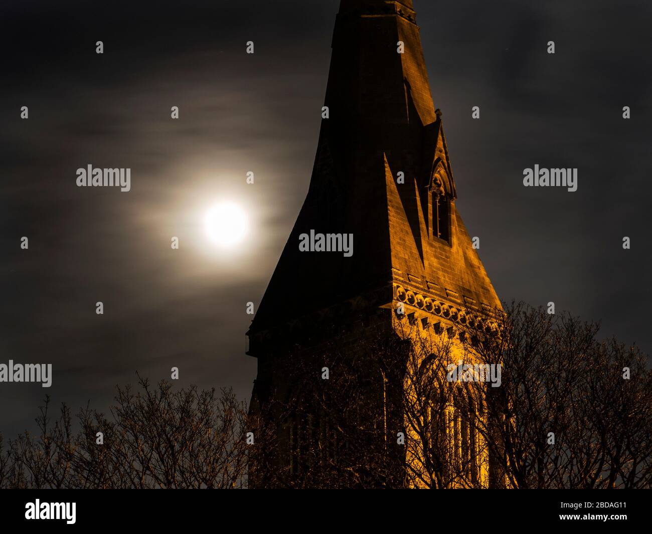 Tall grass and full moon hi-res stock photography and images - Alamy