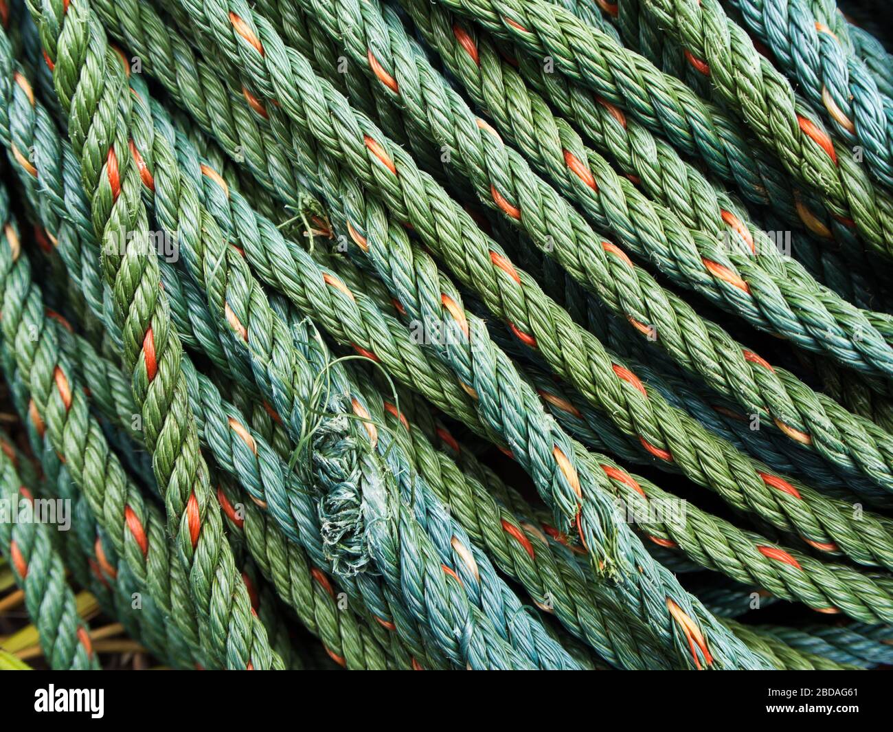 Roll of green nylon rope Stock Photo - Alamy