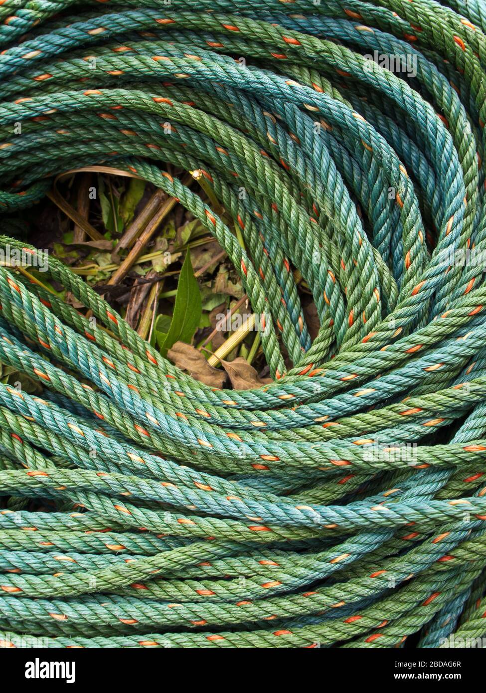 Rope Coil Green High Resolution Stock Photography and Images - Alamy
