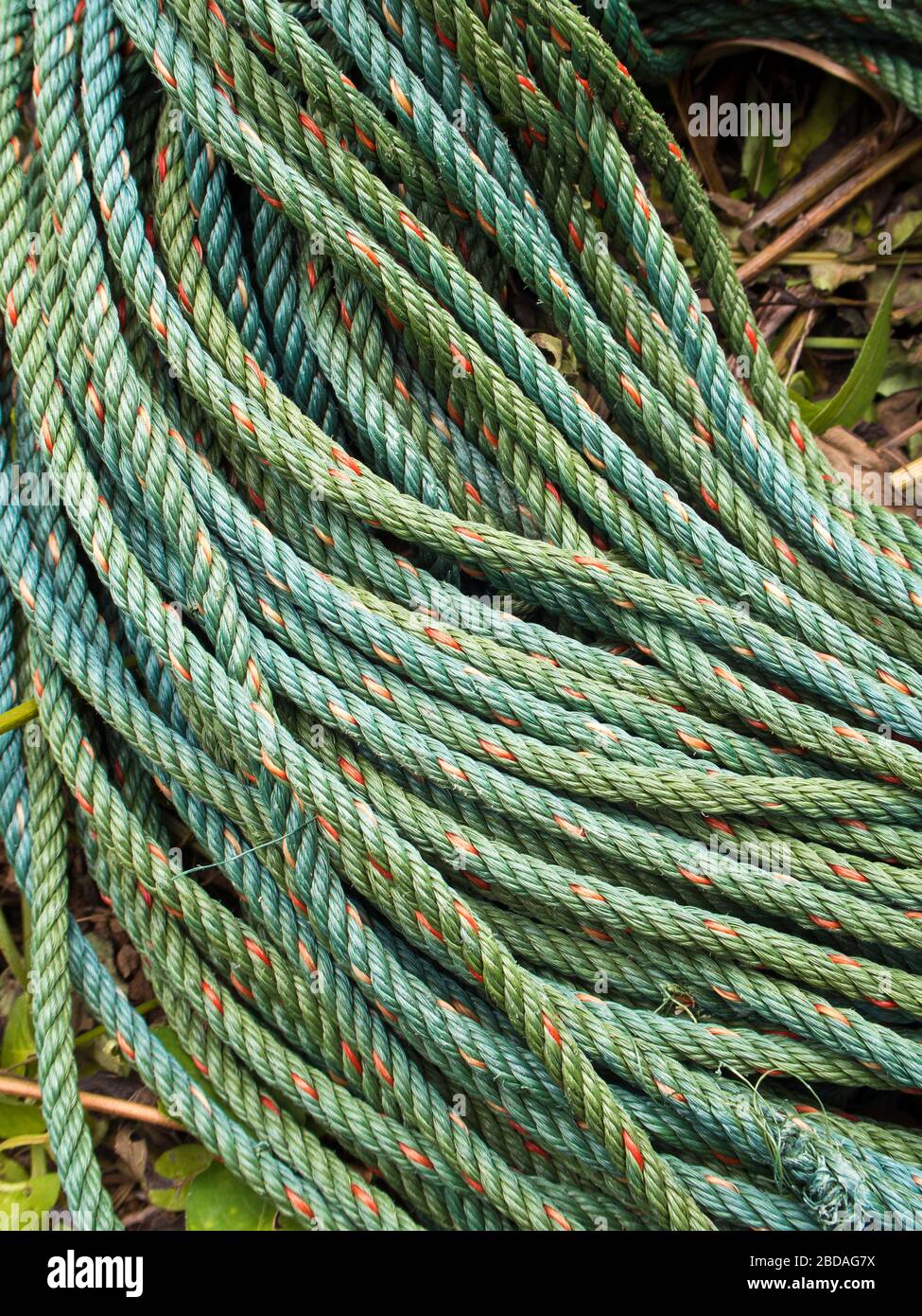 Rope Coil Green High Resolution Stock Photography and Images - Alamy