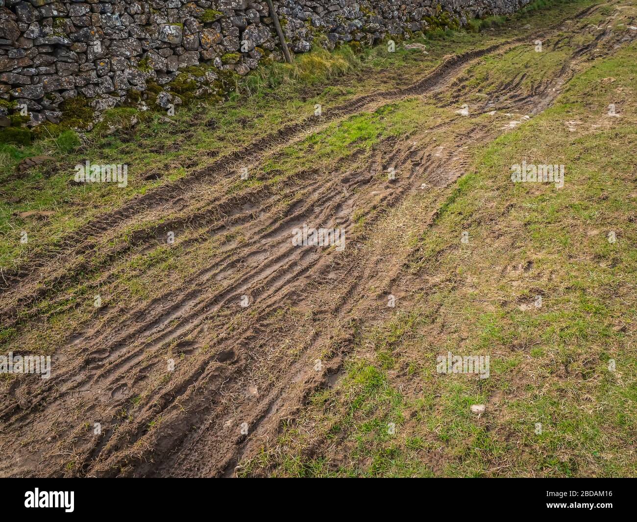 Mastiles lane green lane limestone hi-res stock photography and images ...