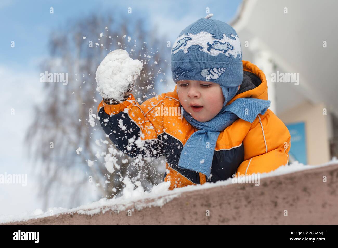 Little boy playing with snow in winter Stock Photo - Alamy