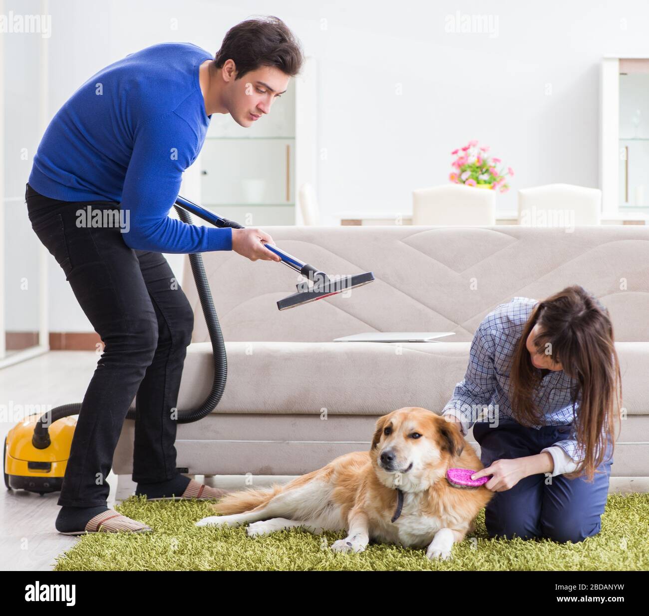 Dog tick brush hi-res stock photography and images - Alamy
