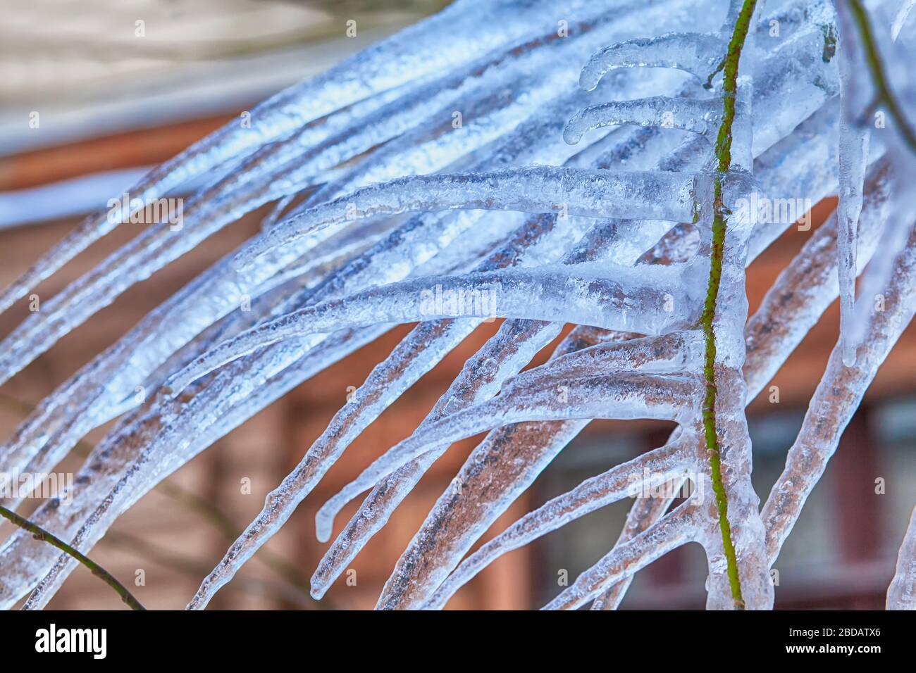 Freezing rain blurred icy hi-res stock photography and images - Alamy