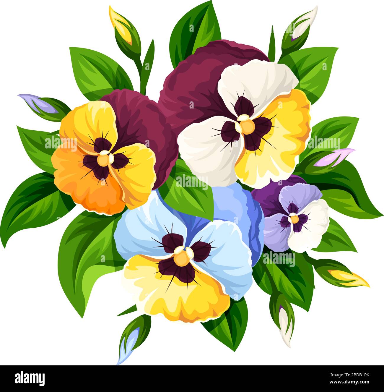 Pansies cut out Stock Vector Images - Alamy
