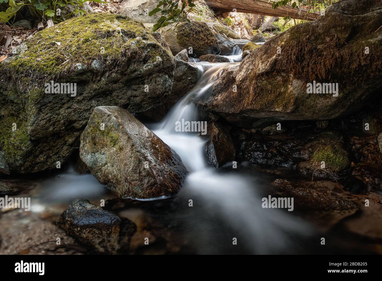Clear mountain stream flowing between large boulders in a forest in the ...