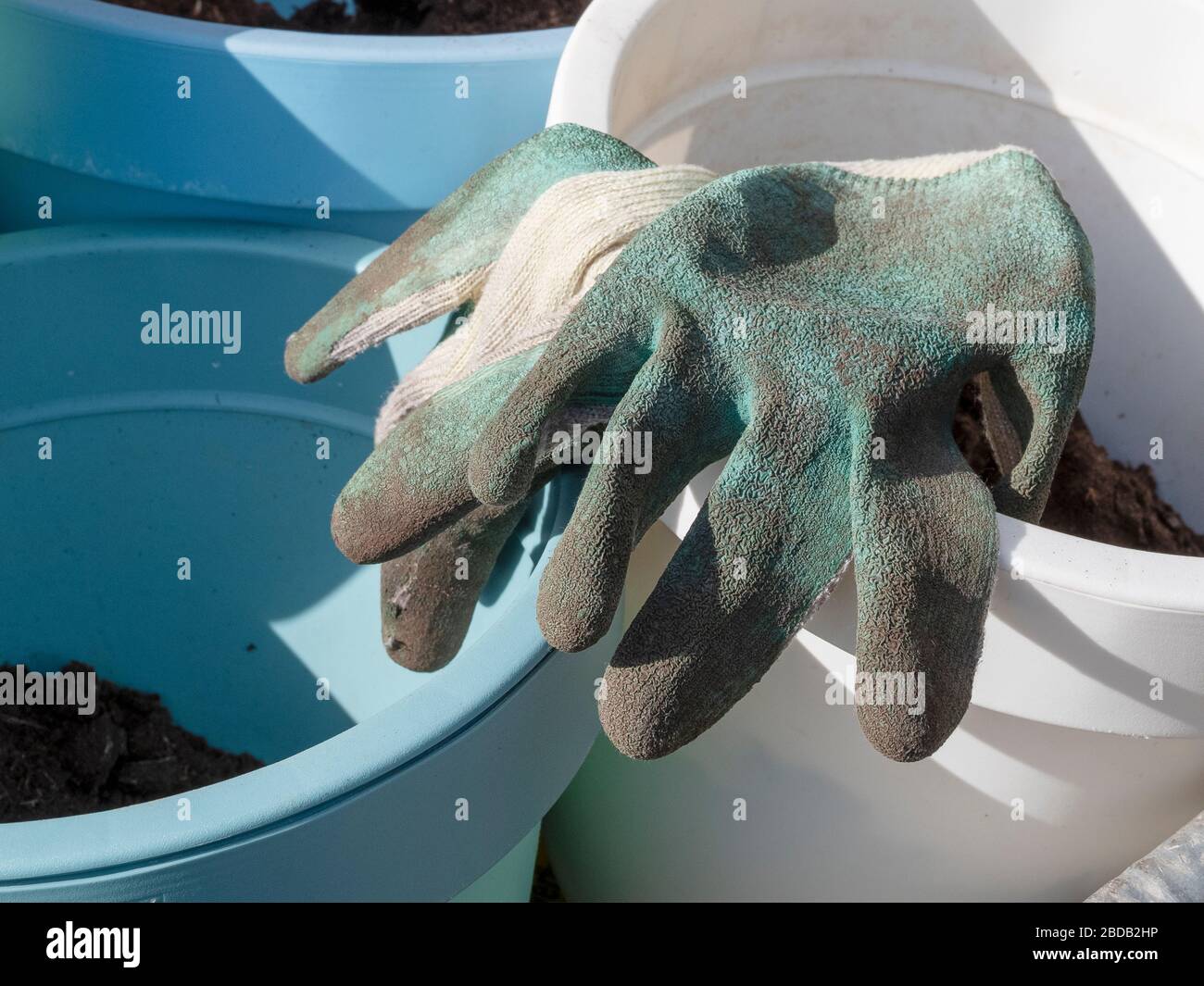 Gardening gloves lie on flower pots with soil in wheelbarrow in spring ...