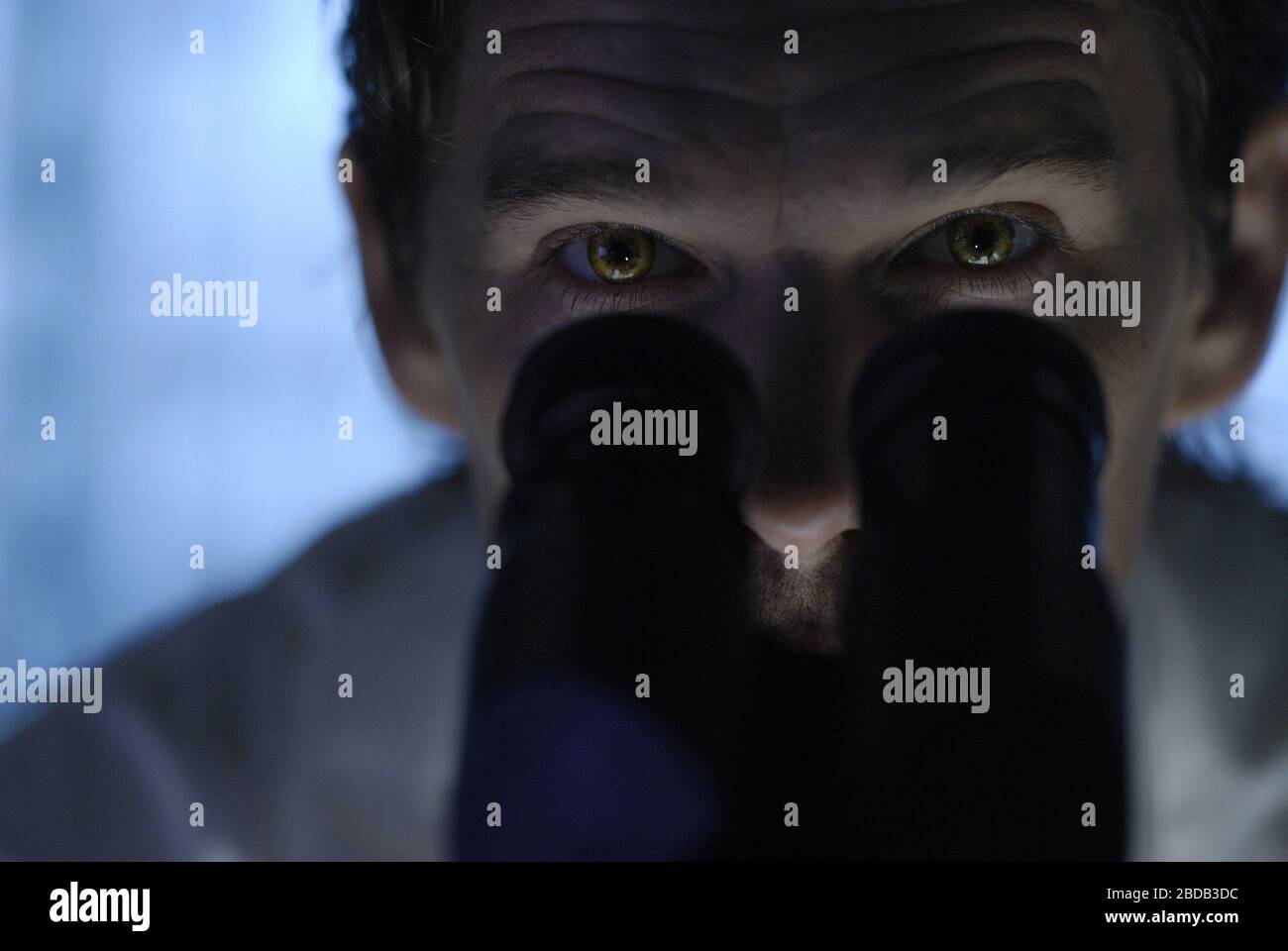 Daybreakers hi-res stock photography and images - Alamy