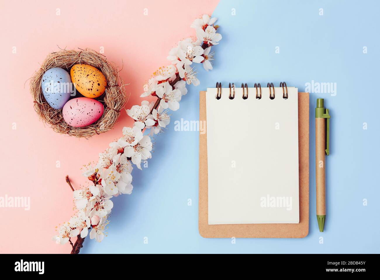 Beautiful Turquoise blue background with spring blossom branches, top ...