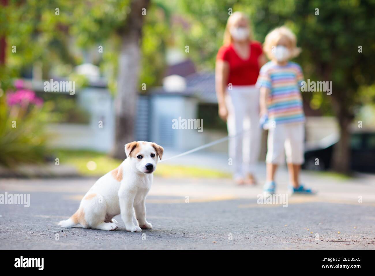 Family walking dog during virus outbreak. Woman and child wearing face ...