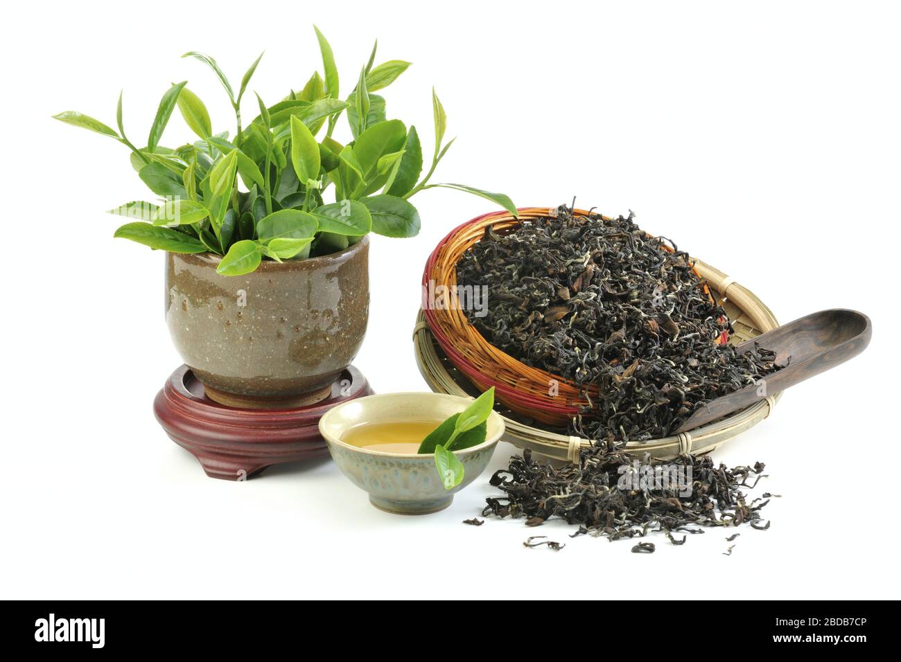 Chinese tea pot set on the white background Stock Photo - Alamy