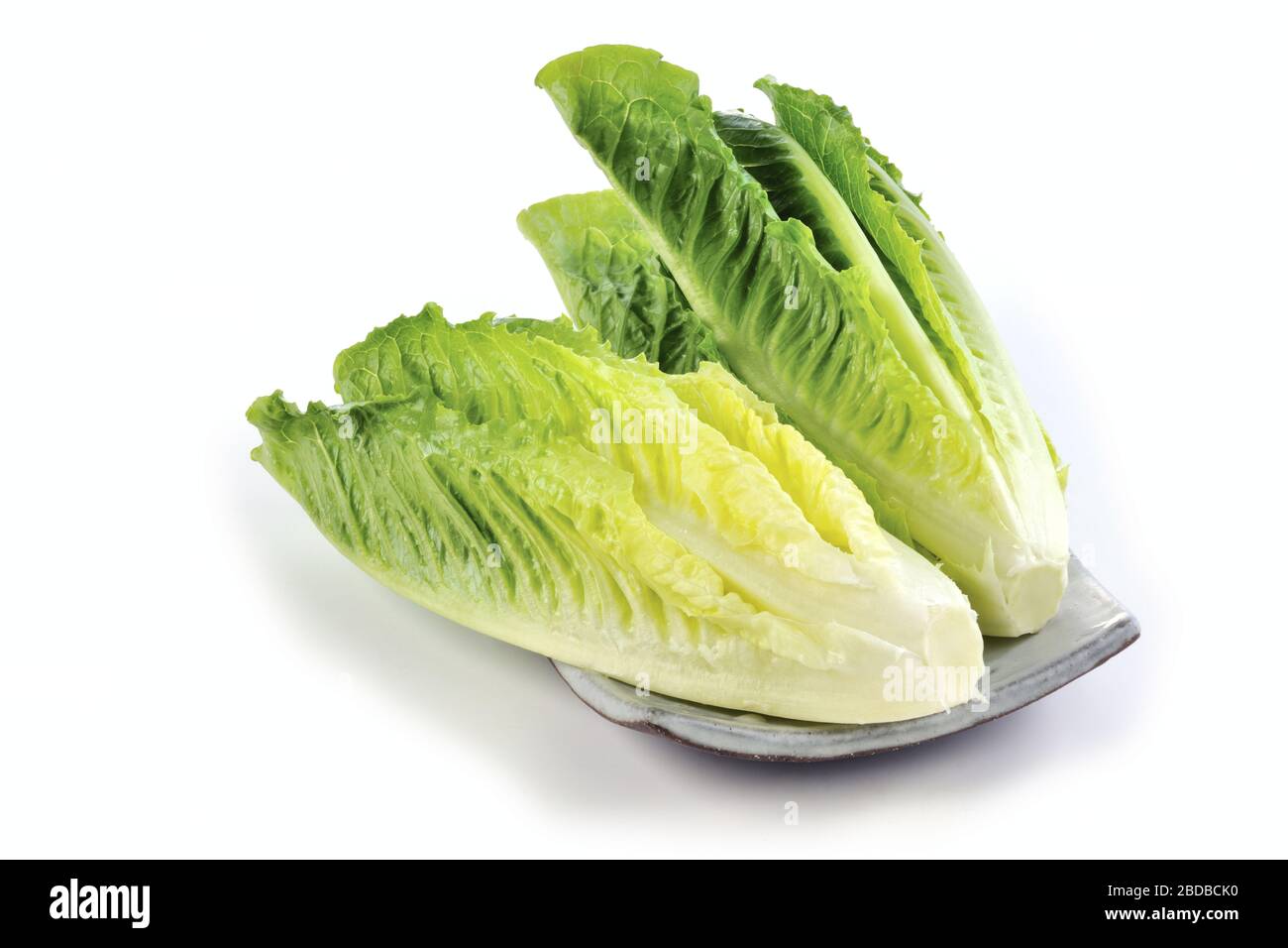 Plate taiwan Cut Out Stock Images & Pictures - Alamy