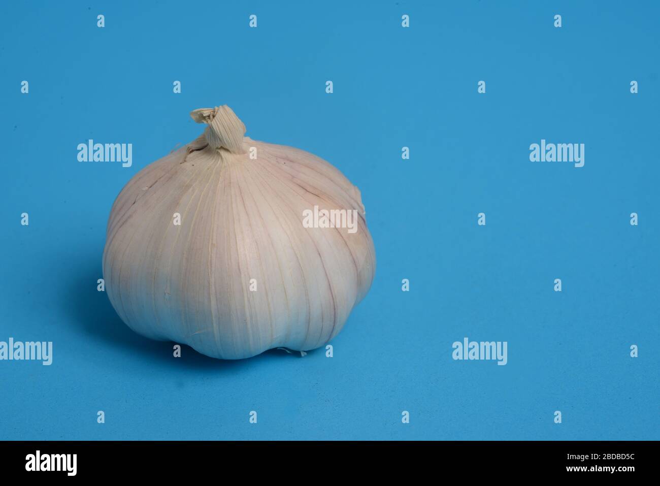 garlic. Raw garlic on blue background with copy space for text Stock ...