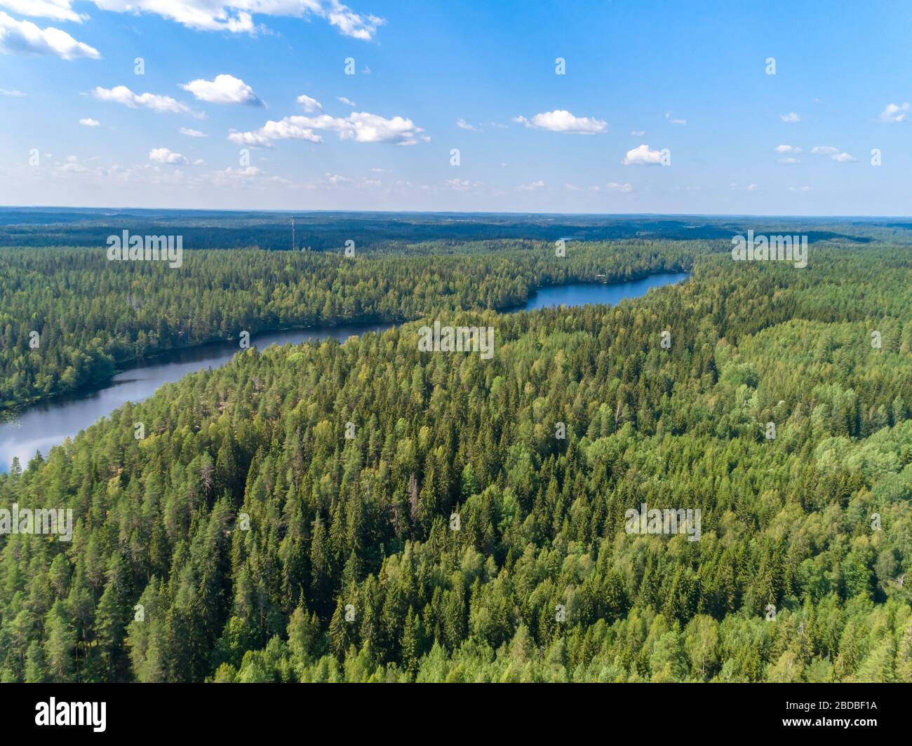 Finland landscape in summer Stock Photo - Alamy