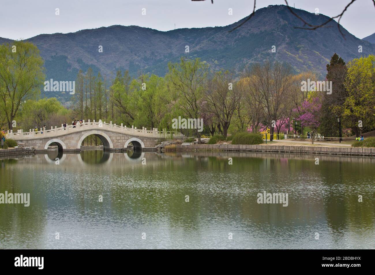 Beijing botanical gardens hi-res stock photography and images - Alamy