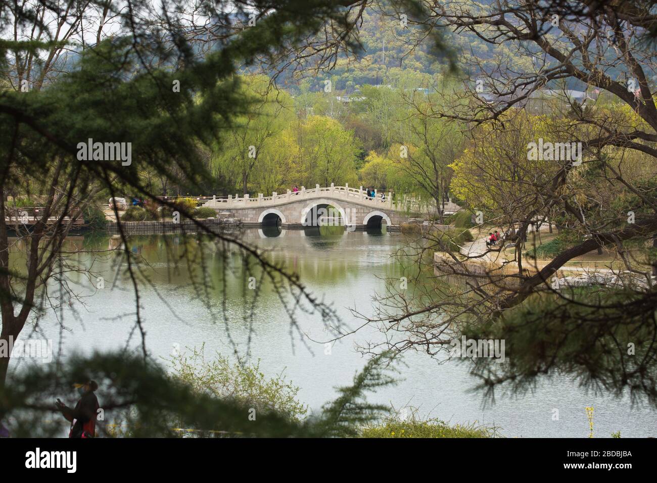 Beijing Botanical gardens, China Stock Photo - Alamy