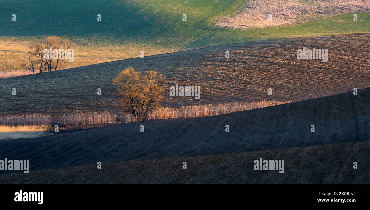 Trees in the fields of Turiec region in northern Slovakia Stock Photo ...