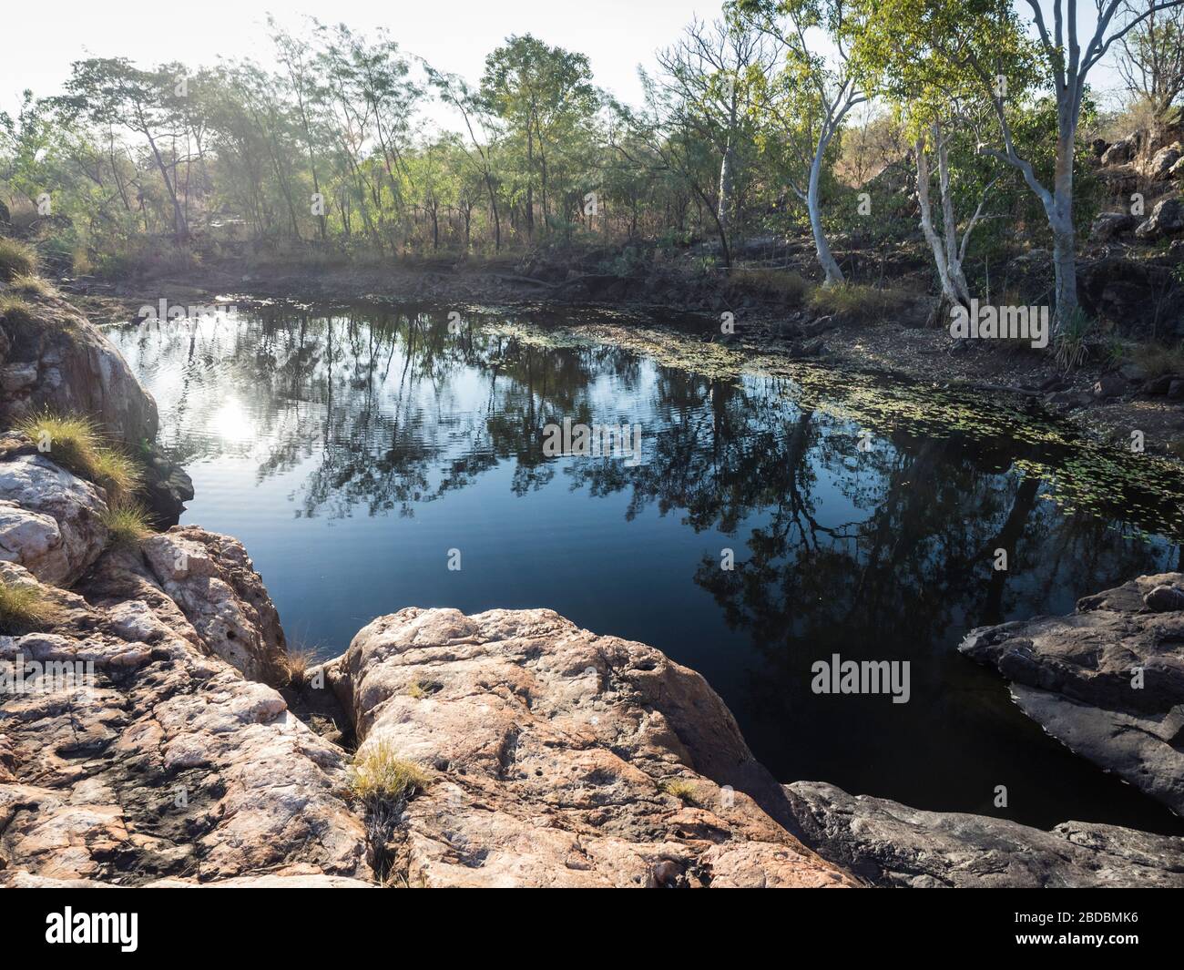 Trees and sky reflected in the still water of Donkey Pools waterhole at ...