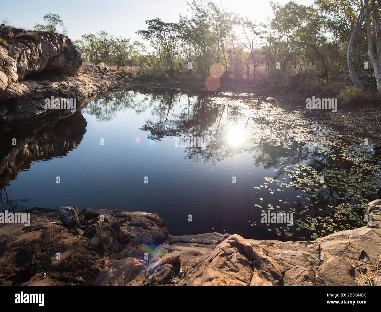 Trees and sky reflected in the still water of Donkey Pools waterhole at ...