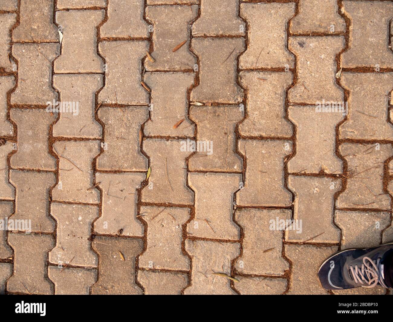 Concrete paving slabs hi-res stock photography and images - Alamy