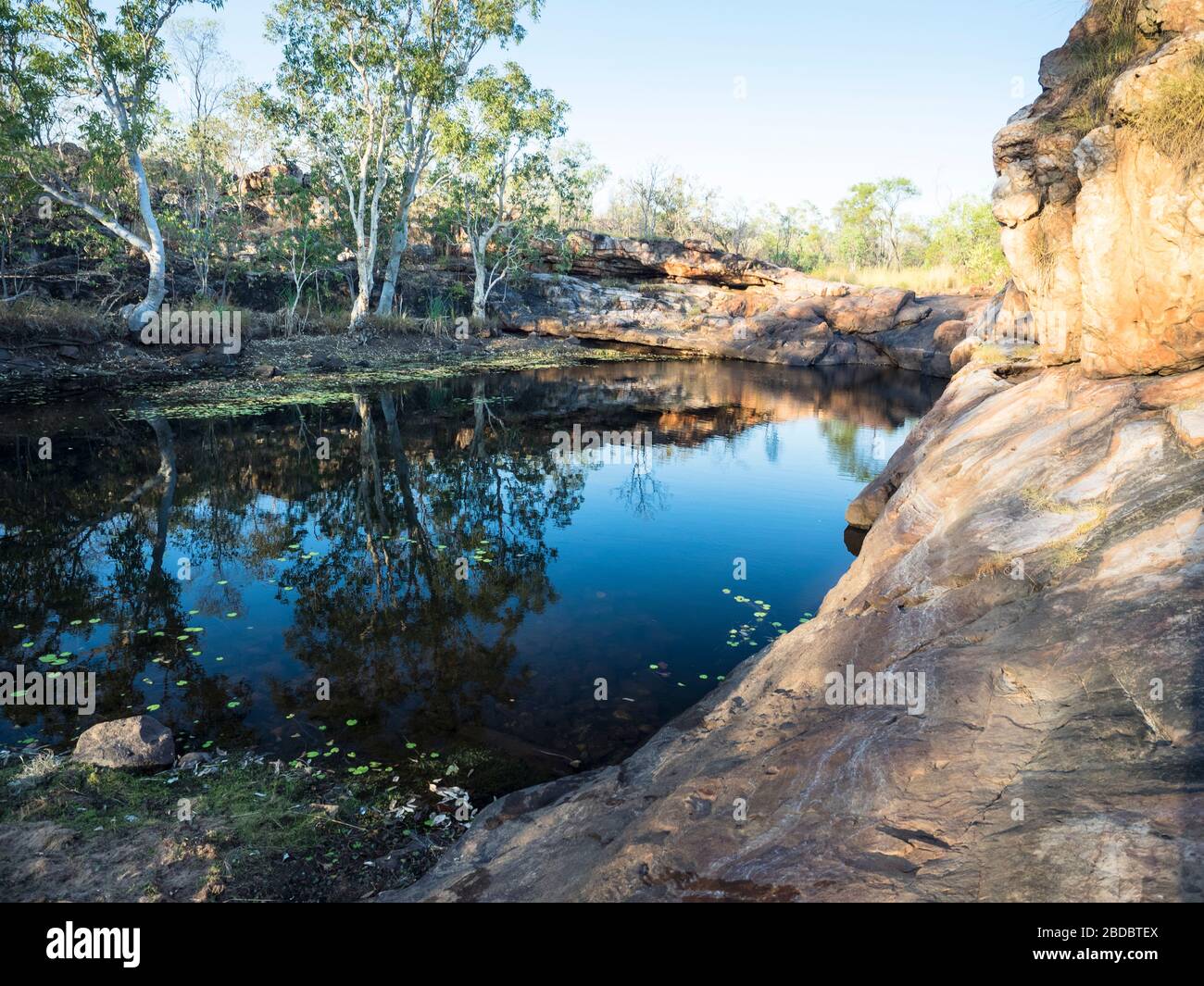 Trees and sky reflected in the still water of Donkey Pools waterhole ...