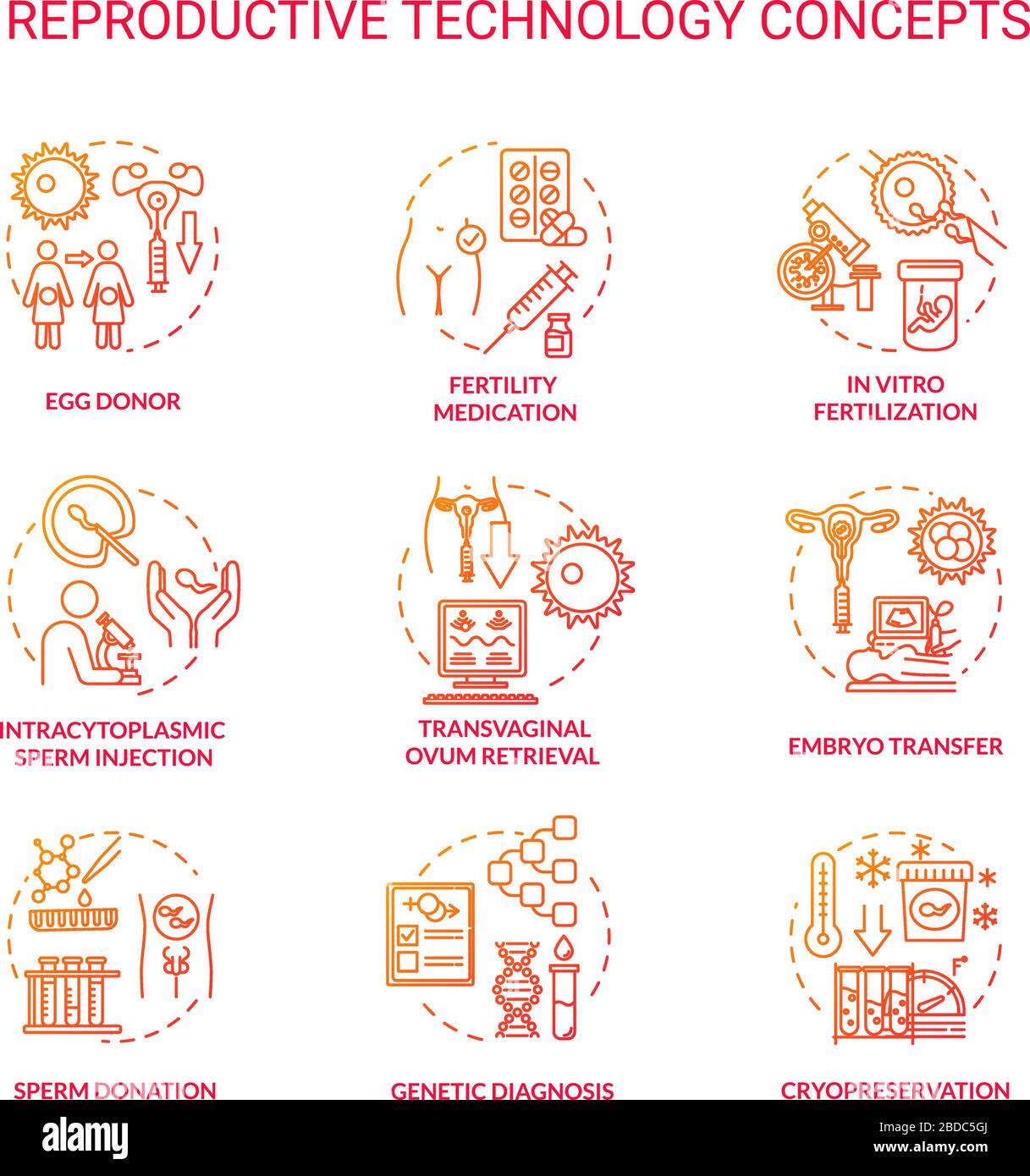Reproductive technology red concept icons set. In vitro fertilization ...