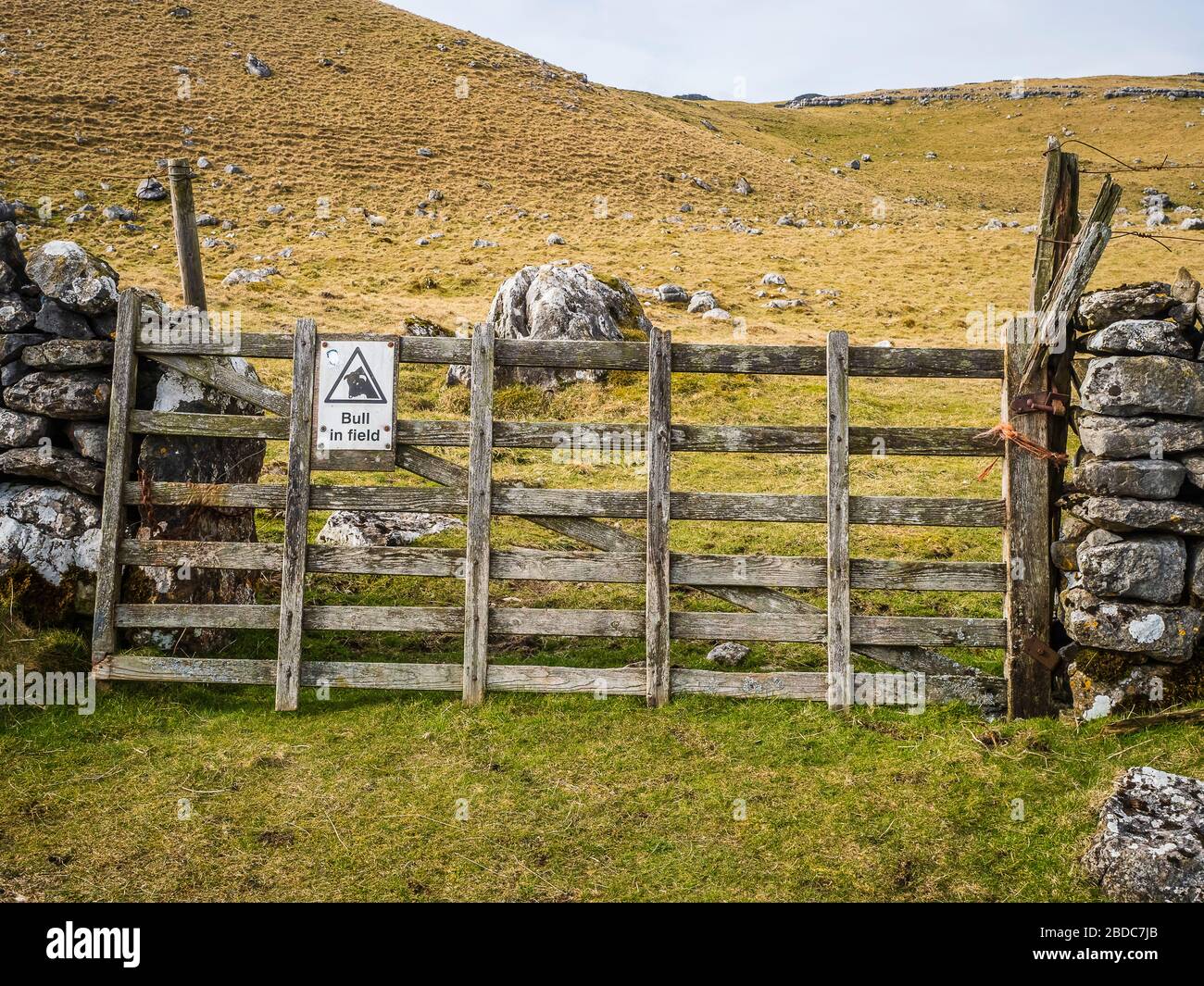 Mastiles lane green lane limestone hi-res stock photography and images ...
