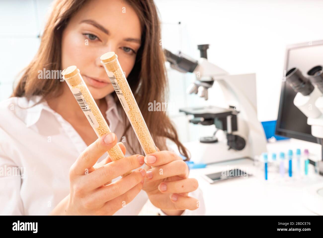 Inspection of the quality of agricultural seeds. Checking the quality ...