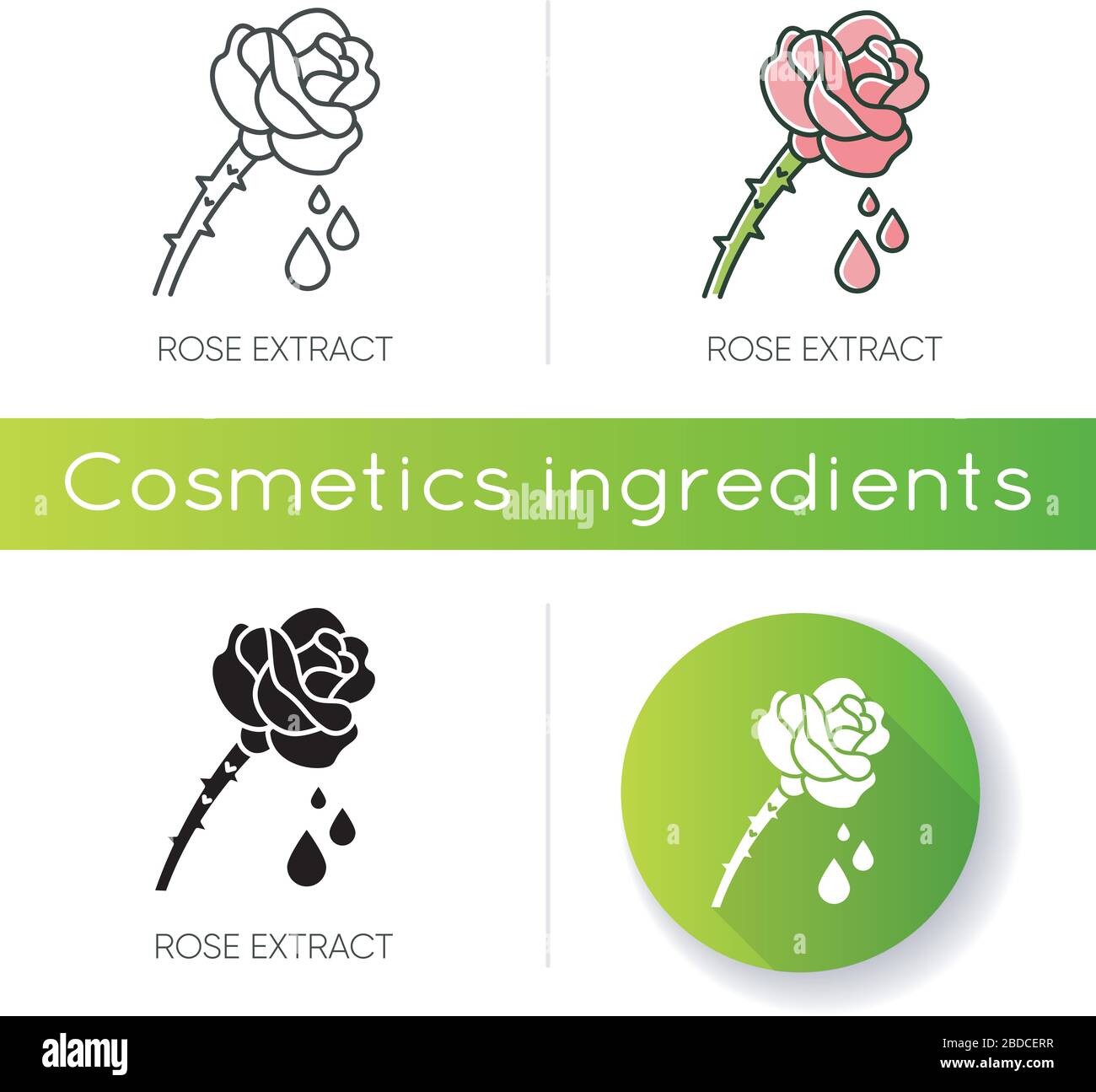 Long thin petals Stock Vector Images - Alamy