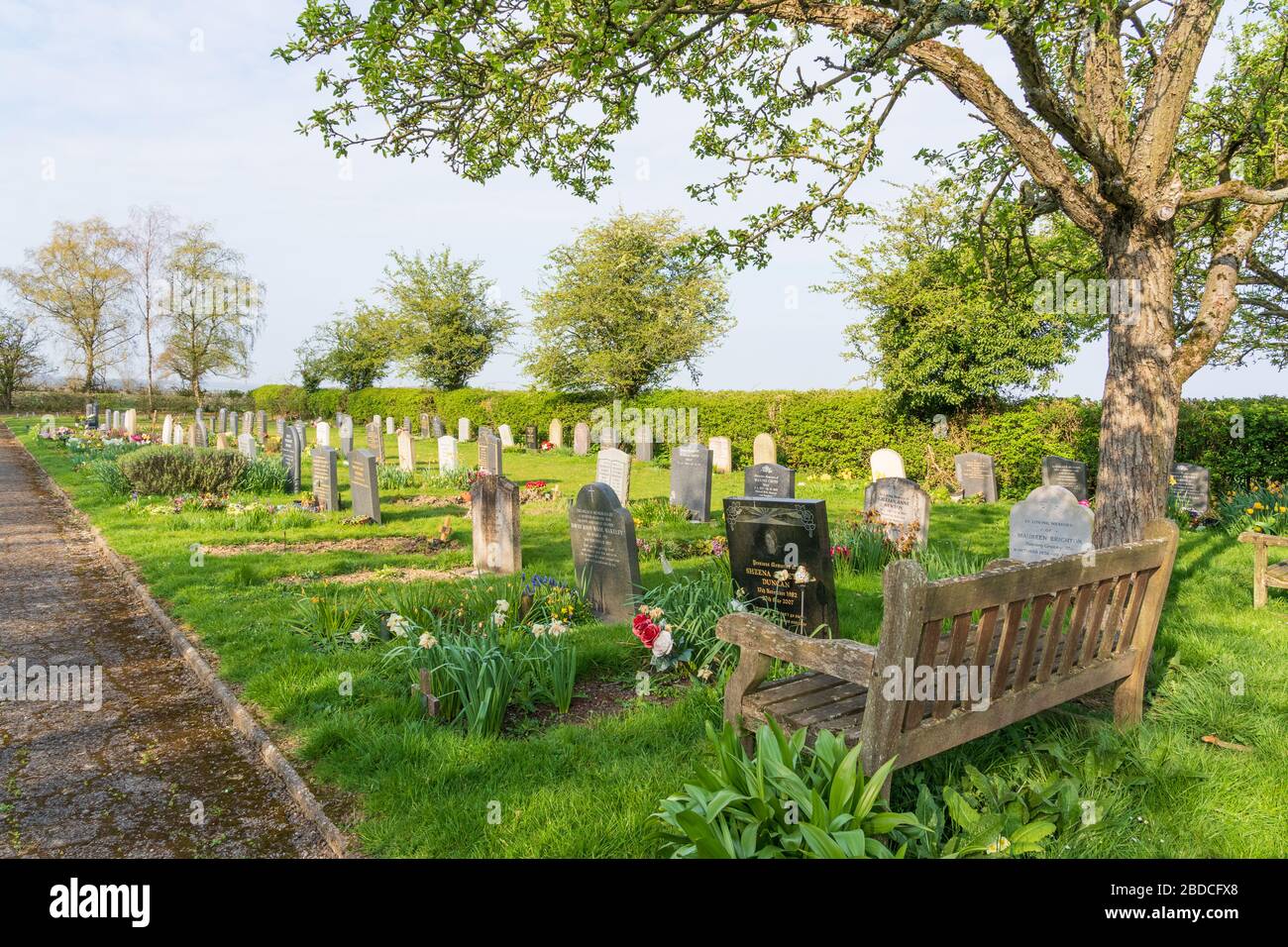 Cemetery with park bench and trees at St Thomas' Church, Perry Green ...