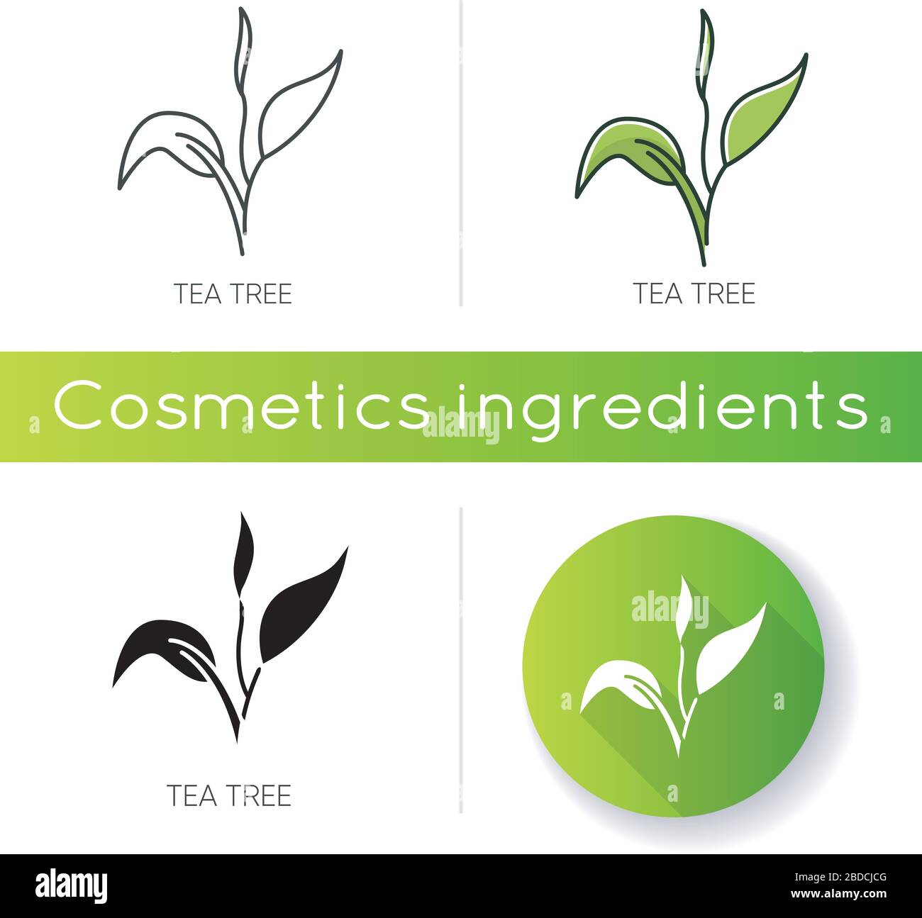 Tea tree icon. Skincare product component. Organic beauty. Herbal ...