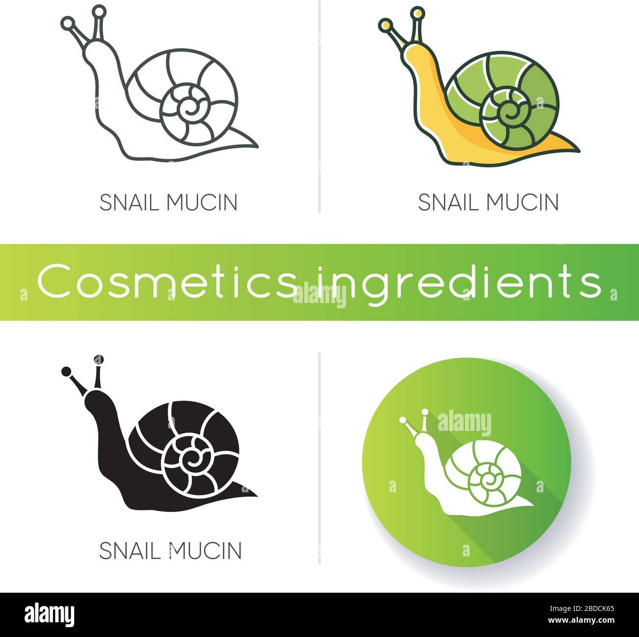 Snail linear icon thin Stock Vector Images - Alamy